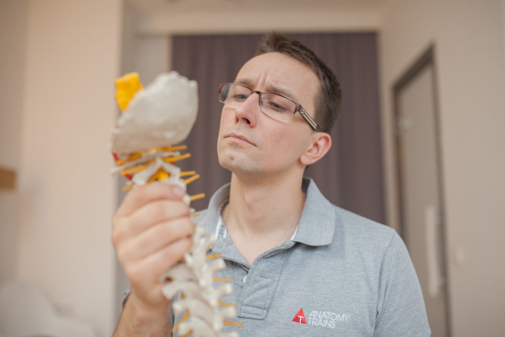 Zoga Multidimensional Movement w Praktycznej Fizjoterapii - Zoga ...