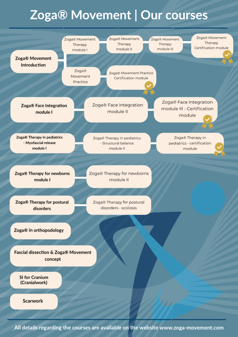 Our courses - Zoga MovementZoga Movement